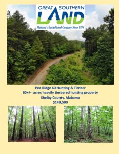 Pea Ridge 60 Hunting and Timber - Alabama Land For Sale